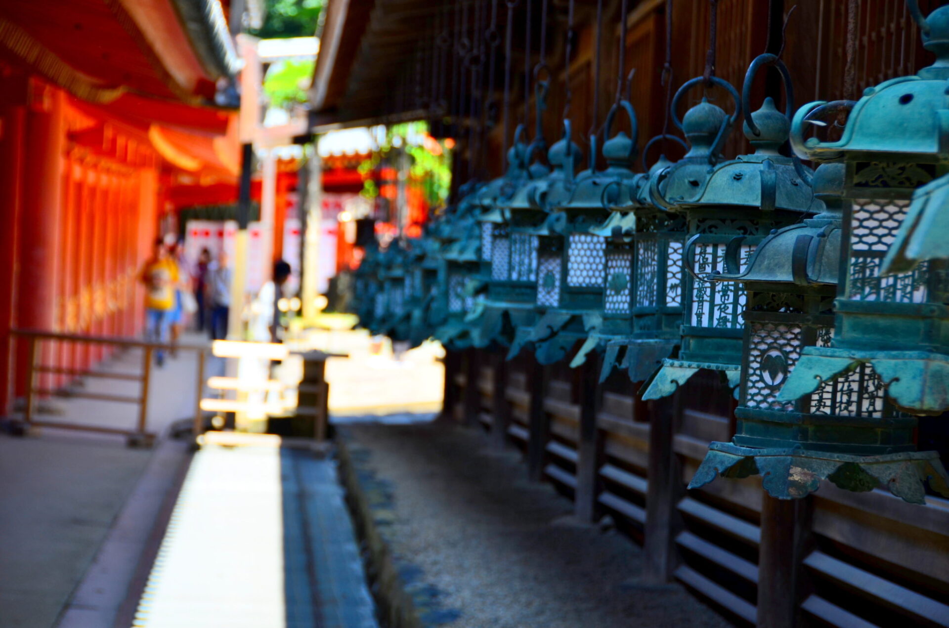 Nara in 24 Hours: The Ultimate One-Day Itinerary | Magnificent Japan