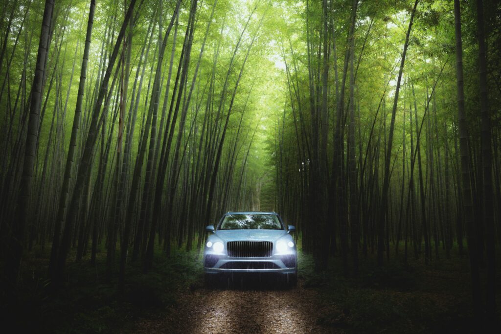 Luxury Travel in Japan